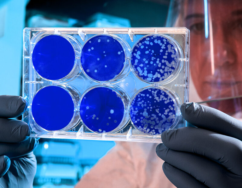 Articles - Antibiotics Lab